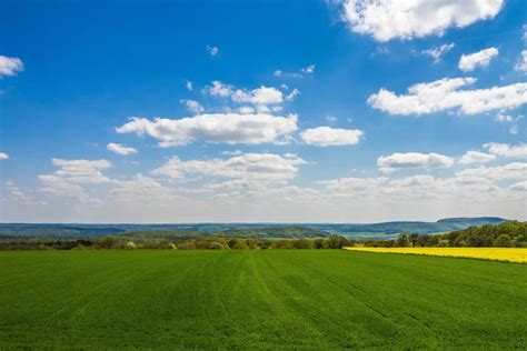 Отдаване на земеделска земя под наем Агрион