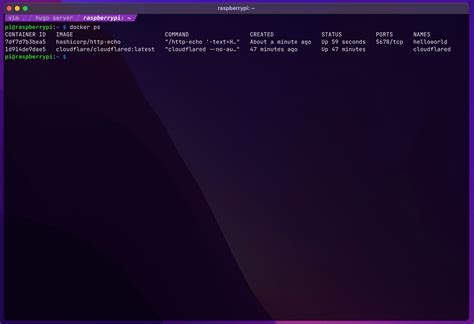 Unlocking The Power Of Raspberry Pi Ci Cd Exploring Self Hosted Runners Github Actions Gitlab