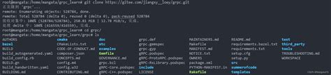 Grpcprotobuf的安装、编译、运行笔记cprotobuf Gitee Csdn博客
