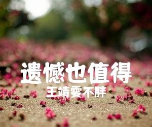 遗憾也值得吉他谱 王靖雯不胖 C调 吉他图片谱2张 吉他谱大全