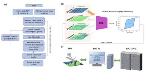 Maxim Ziatdinov On Linkedin Jax Machinelearning Automation Imaging