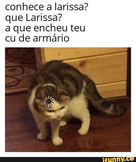 Conhece A Larissa Que Larissa A Que Encheu Teu Cu De Armário
