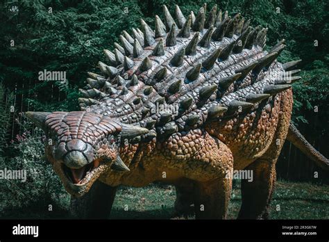Ankylosaurus Size