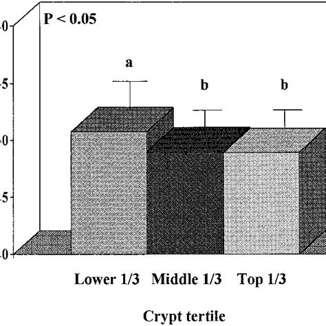 Dna Adduct Levels As A Function Of Cell Location Tertile Within The