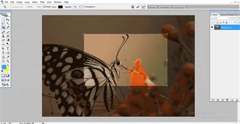 Crop Tool In Photoshop Learn To Use Crop Tool In Photoshop