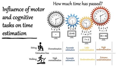 Brain Sciences Special Issue The Role Of The Sensorimotor System In
