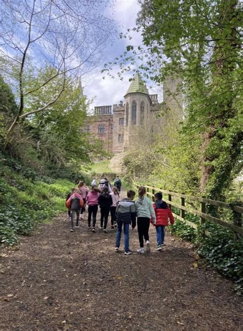 Gorsemoor Primary School Profile 2024