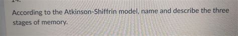 Solved According To The Atkinson Shiffrin Model Name And