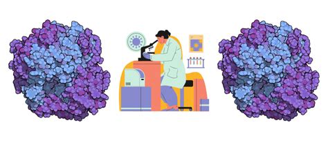 Complexity And Proteoform Analysis Biotechniques