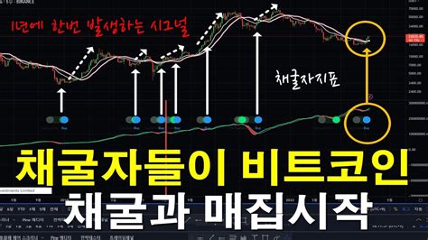 비트코인 장기적으로 상승시작 해시리본을 아시나요 Youtube