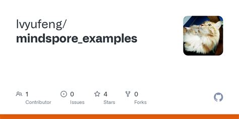 GitHub Lvyufeng Mindspore Examples