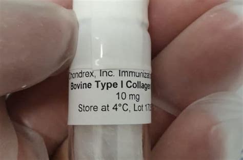 Machine Learning Active Nematic Hydrodynamics Biomaterials Publishing