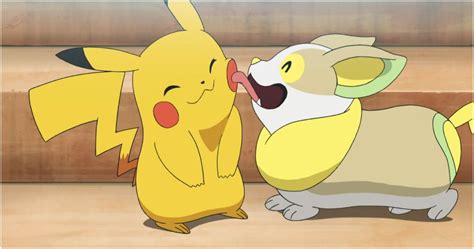 Pokémon Sword And Shield What Level Does Yamper Evolve And 9 Other Things