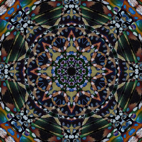 Kaleidoscope Effect Wcc Resources