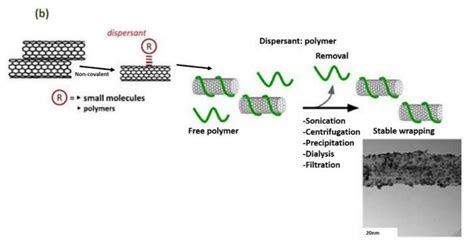 Fabrication Functionalization And Application Of Carbon Nanotube Reinforced Polymer Composite