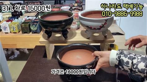 다육이 분갈이 화분 둥근화분 사각화분 롱분 국산화분 대형화분 2월 24일 Youtube