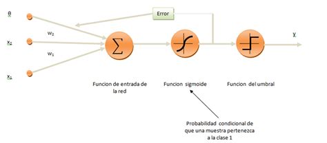 Modelo De Regresión Logística ¿qué Es Y Para Que Sirve