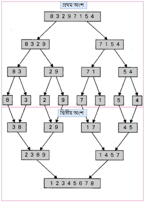 সর্টিং মার্জ সর্ট Merge Sort অ্যালগরিদম শরিফ হাসান