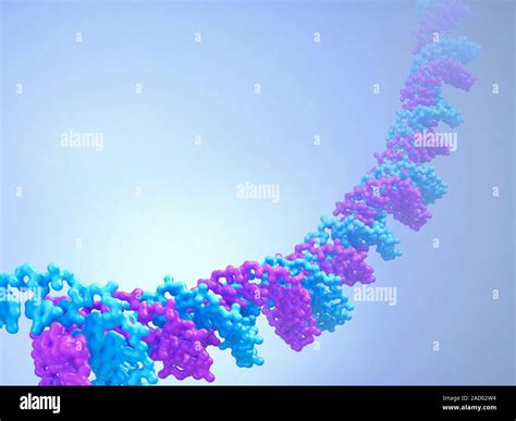 Dna Molecule Computer Illustration Of A Double Stranded Dna Deoxyribonucleic Acid Molecule