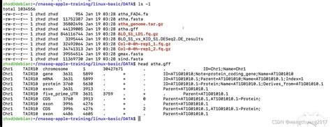 基因课 15天入门生物信息（2021年） 第三天 linux基础命令（2） 张旭东15天入门生物信息 2021年 基因课的配套资料 csdn博客