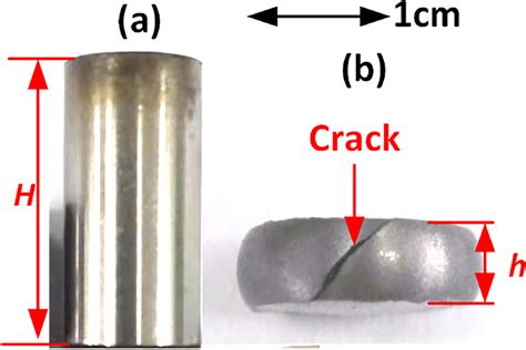 Schematic Diagram Of The Compression Specimen A Before Test B Download Scientific Diagram