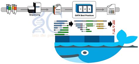 Cnvs Copy Number Variants— Context Detection Methods And Exploratory