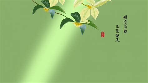 电脑桌面壁纸高清全屏 高清全屏桌面壁纸 彼岸桌面