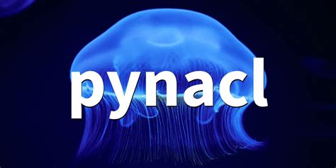 Pynacl 150 Python Binding To The Networking And Cryptography Nacl