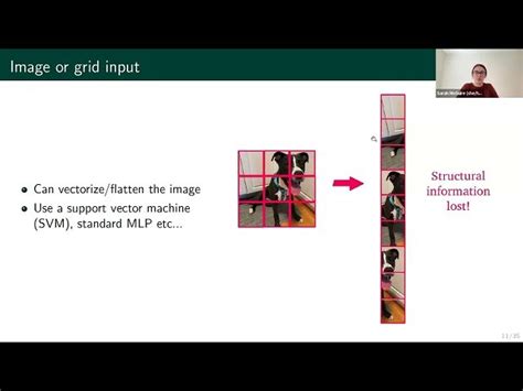 Free Video Classification Of Euler Characteristic Transforms Using
