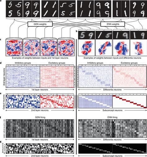 Artificial Neural Network Example Mnist At Oscar Nimmo Blog