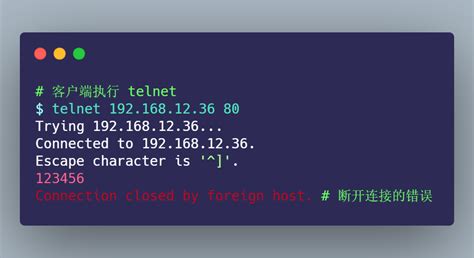 43 Tcp 实战抓包分析 小林coding