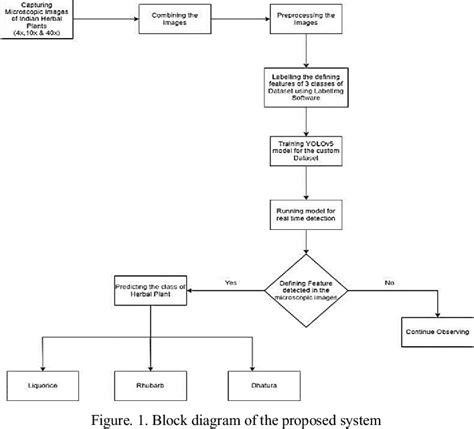 Figure 1 From Real Time Object Detection In Microscopic Image Of Indian