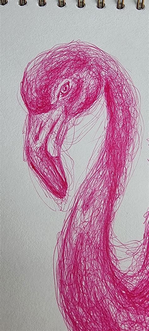Biro Art Flamingo Head Pink Scribble Flamingo Sketch Drawing Hand Art Drawing Art Drawings