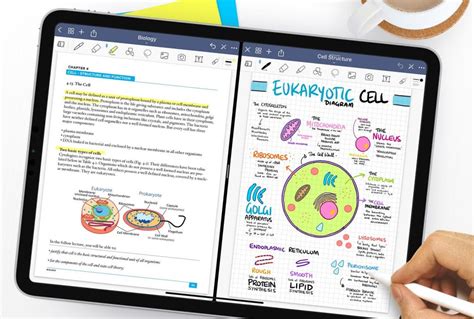 9 Best Note Taking Apps For Ipads 2025 Astropad