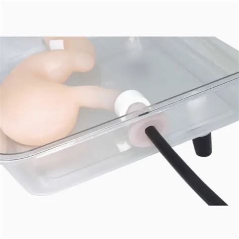 High Simulation Training Model For Gastroscopy Surgery And Esd Training For Gastric Ercp Model