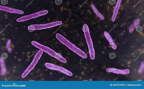 Bacteria Mycobacterium Bovis Illustration 262707694