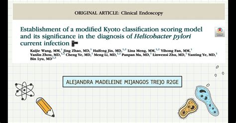 Pechakucha Presentation Modified Kyoto Classification Scoring Model Helico