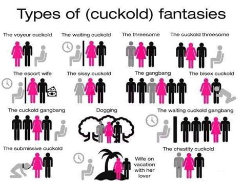 Femdom Malesub Home