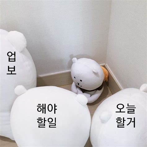 아 때려치는 건 그냥 정당방위라거 응원짤 긍정짤 행복짤 자신감짤 귀여운짤 인형짤 프사 짤 짤방 인형 힐링 응원