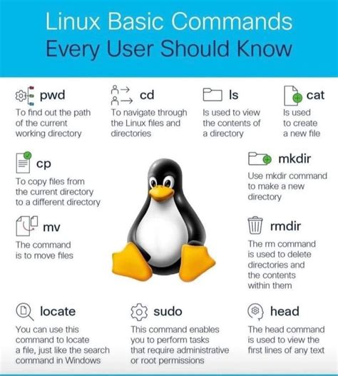 meghraj on linkedin infosec cybersecurity cybersecuritytips pentesting…
