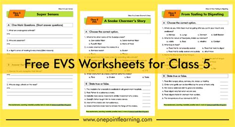 Download Free Ncert Class 5 Evs Worksheets With Answers Pdf Download Free Ncert Class 5 Evs Worksheets With Answers Pdf