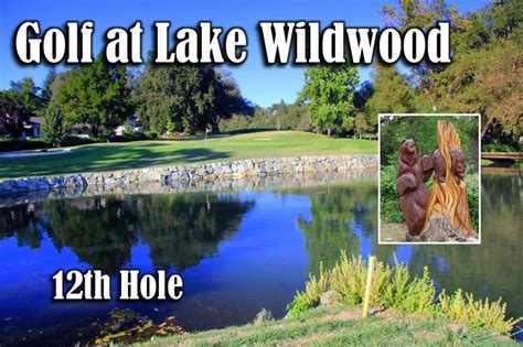 Home Lake Wildwood Association