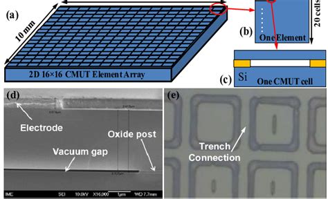 a diagram of cmut array b one cmut element c one cmut cell d