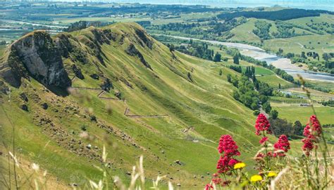 Te Mata Peak An Iconic Tourist Attraction Place In Hawkes Bay Region