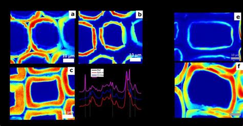 Vca Vertex Component Analysis Of Methacrylated And In Situ