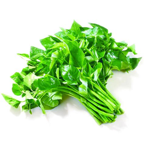 蔬菜名称大全和图片 100种蔬菜名字大片 蔬菜图片大全 附名称 大山谷图库