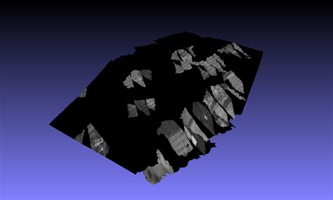 Multispectral Point Cloud Models Generated From The Processing Of