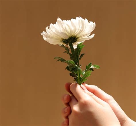 조의금 봉투 쓰는 법 부의 부조 차이는 네이버 블로그