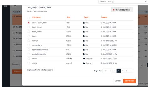 Hướng Dẫn Restore Dữ Liệu Hosting Trên Jetbackup 5