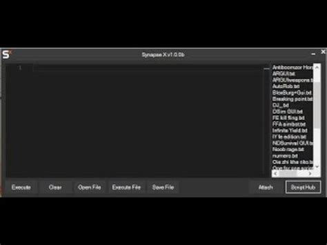 NEW Synapse X Cracked